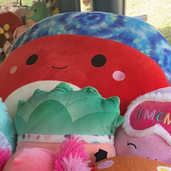 Squishmallows | Toys | Indie Squishmallow 2 | Poshmark